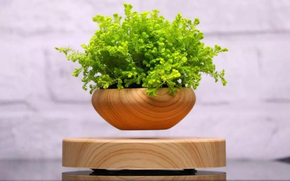 indoor plant pot zwevend