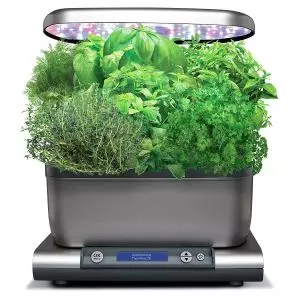 Herb Garden Indoor No Soil