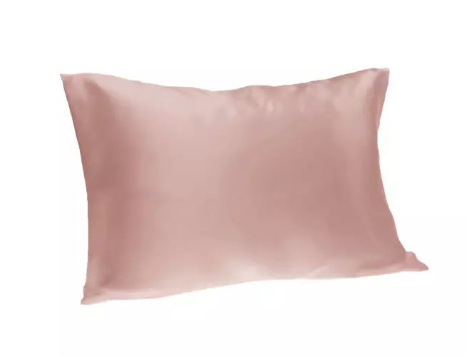 Spasilk Silk Pillow Case