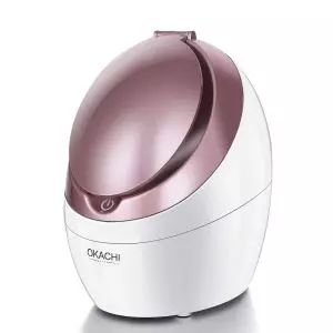 Home Face Steamer Device