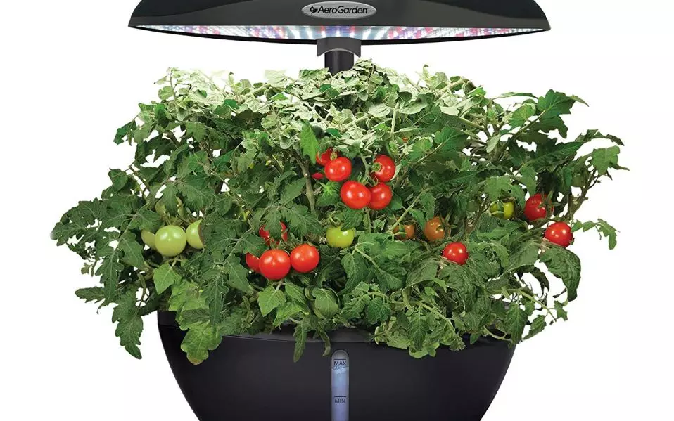 AeroGarden Classic 6 גינה משטח חכם