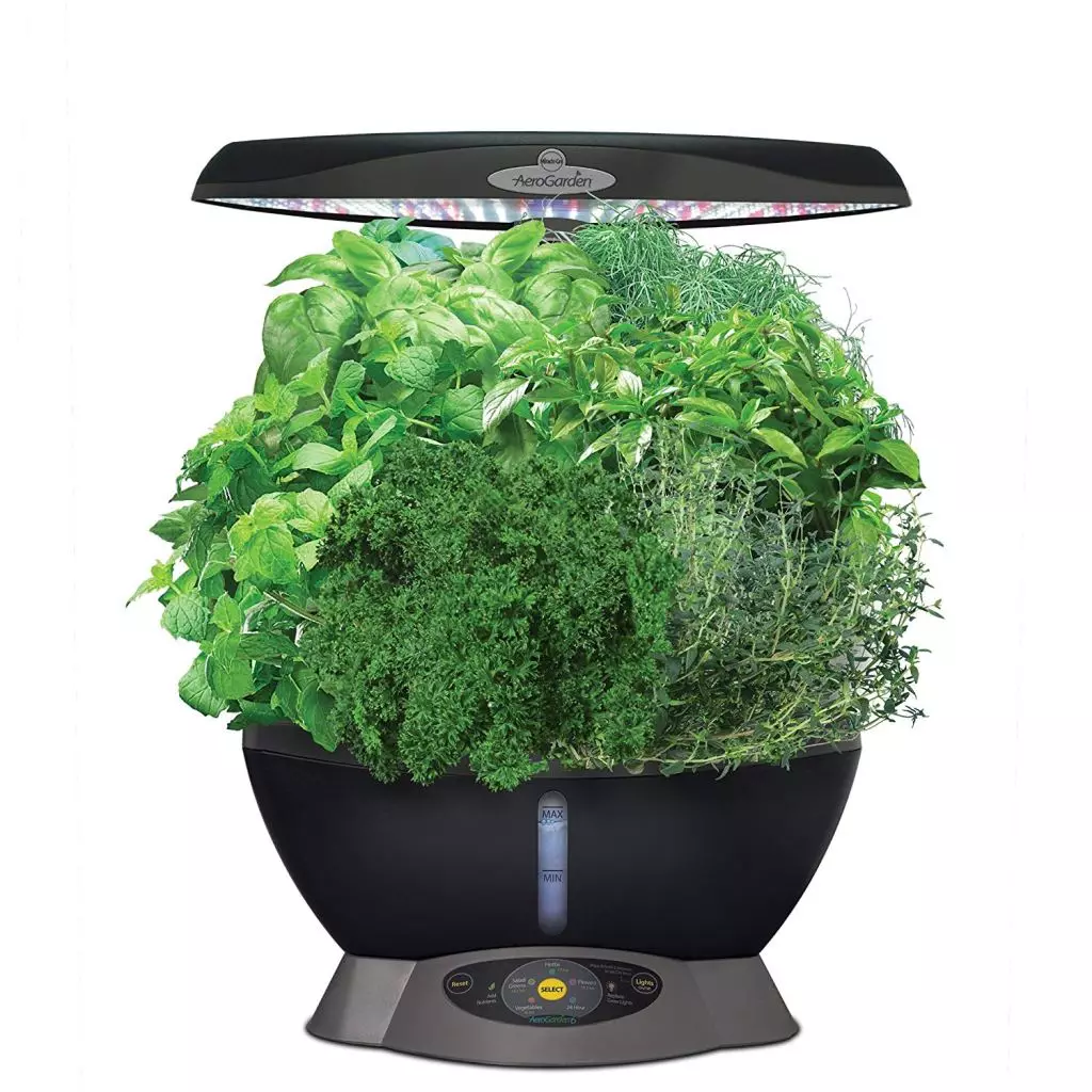 aerogarden كىلاسسىك 6