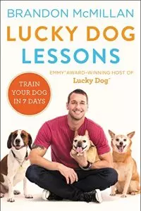 Lucky Dog сабактары: 7 күндүн ичинде итиңизди үйрөтүңүз