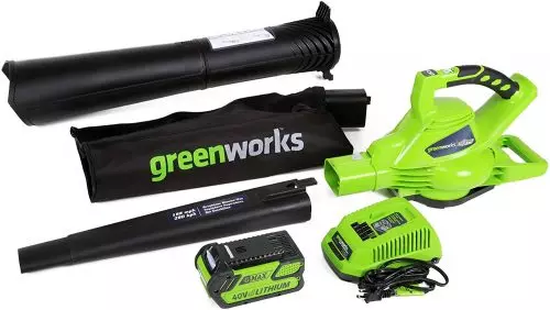 I-Greenworks Eguquguqukayo Yejubane Elingenantambo Leaf Vacuum, Ama-vacuum Amaqabunga Angcono Kakhulu