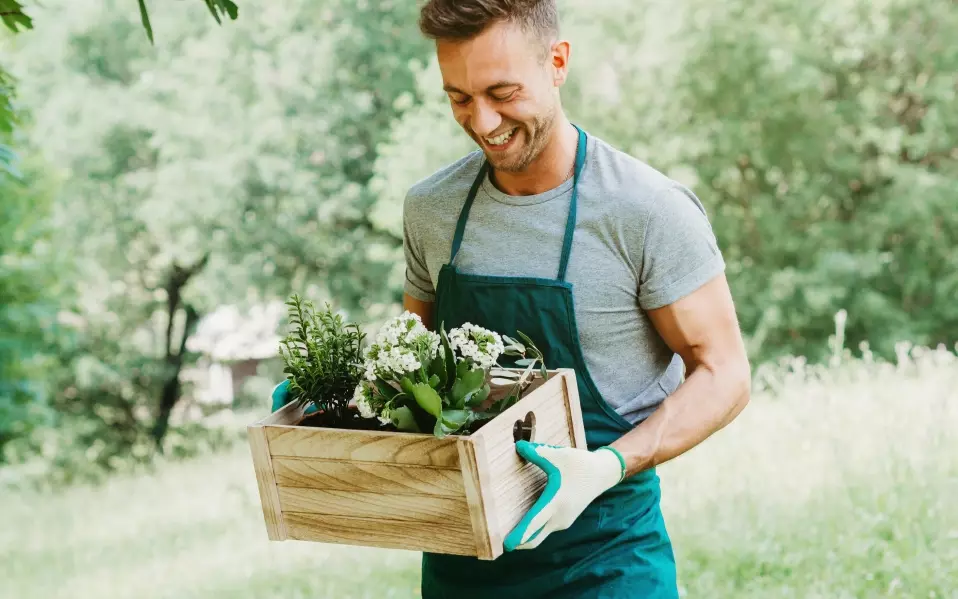 Smart Garden Seedsheets guru sensor