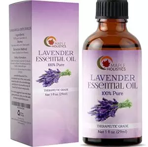 Lavender Essential Oil Maple Holistics