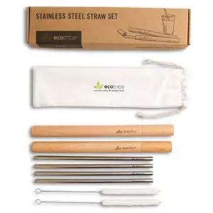 Stainless Steel Reusable Straw Set