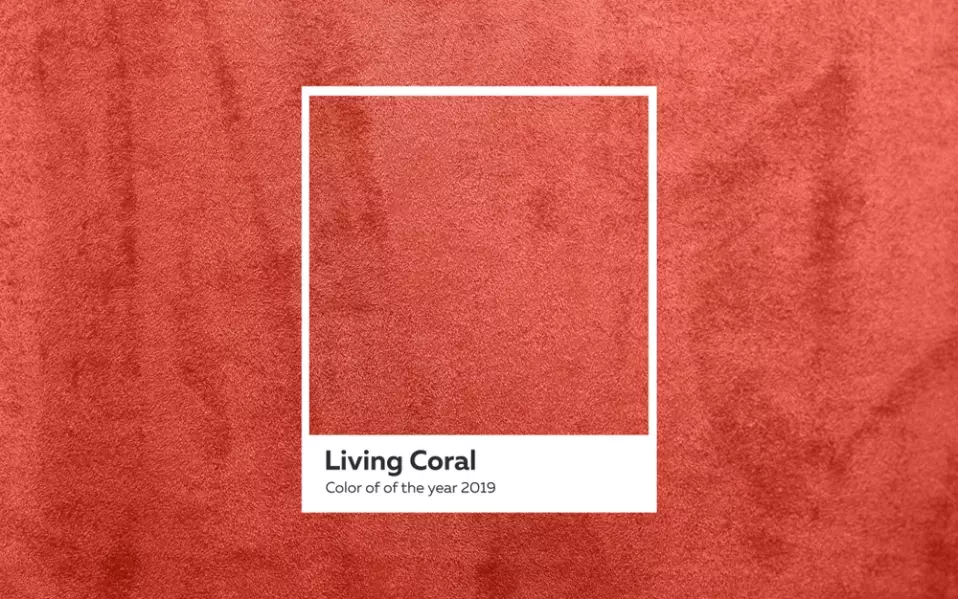 Pi bon Living Coral Products Pantone