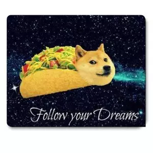 doge taco მაუსი