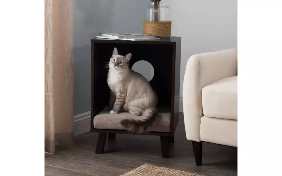 kisállat kellékek kutya macska bútor otthon