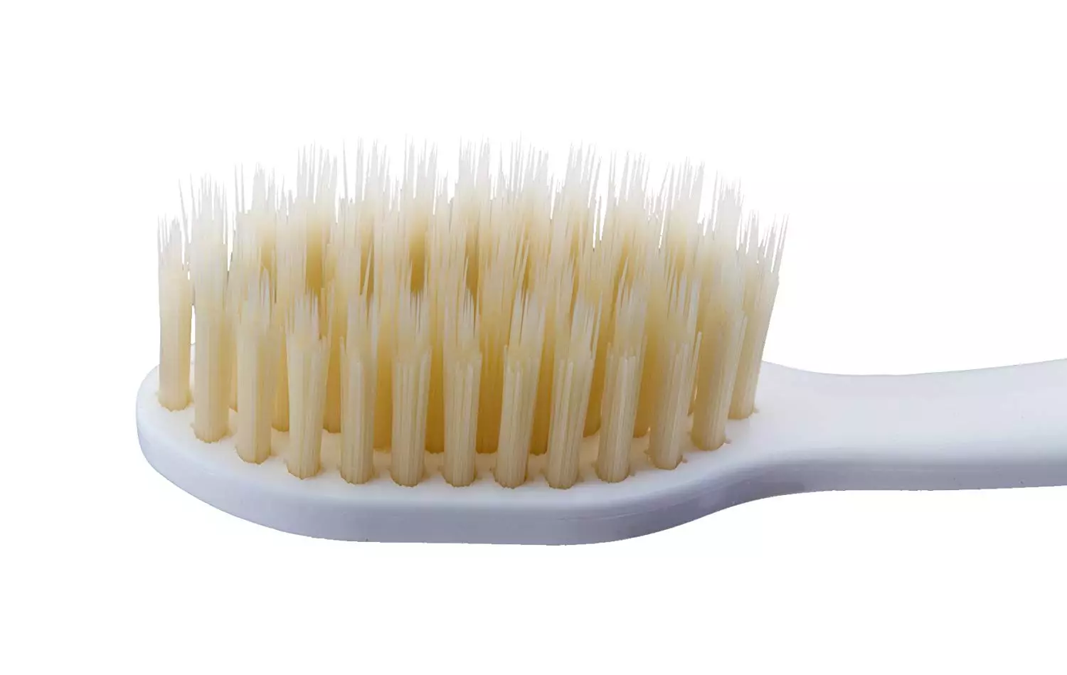 Pagrepaso sa Antimicrobial Floss Bristle Silver Toothbrush sa Doctor Plotka's Mouthwatchers Antimicrobial Floss