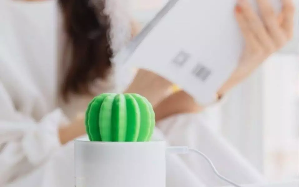 cactus humidifier mga ideya sa uso sa palamuti sa bahay