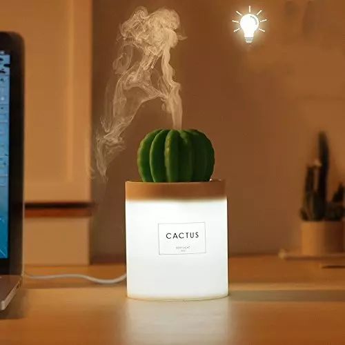 cactus humidifier mehopolo ea mekhabiso ea lapeng