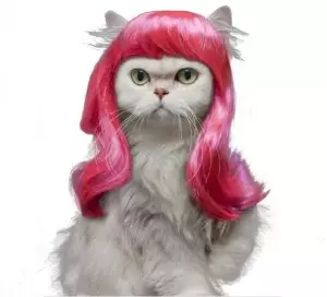 Rambut Palsu Kucing Sintetik Drasawee