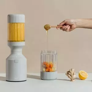 beast blender, beast blenders