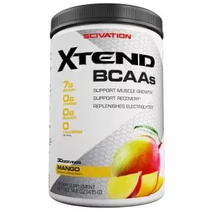 Protein chất béo dạng bột