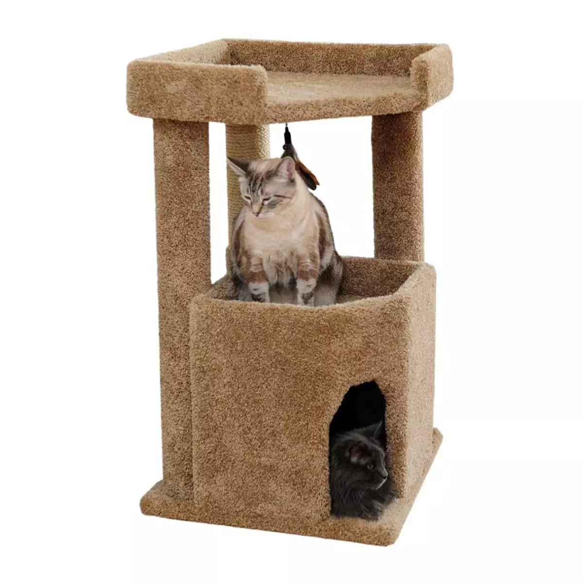 Els millors mobles per a gats d'Amazon
