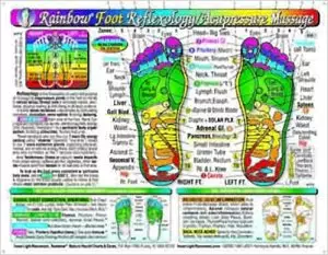 ຕາຕະລາງ Reflexology FOOT Rainbow