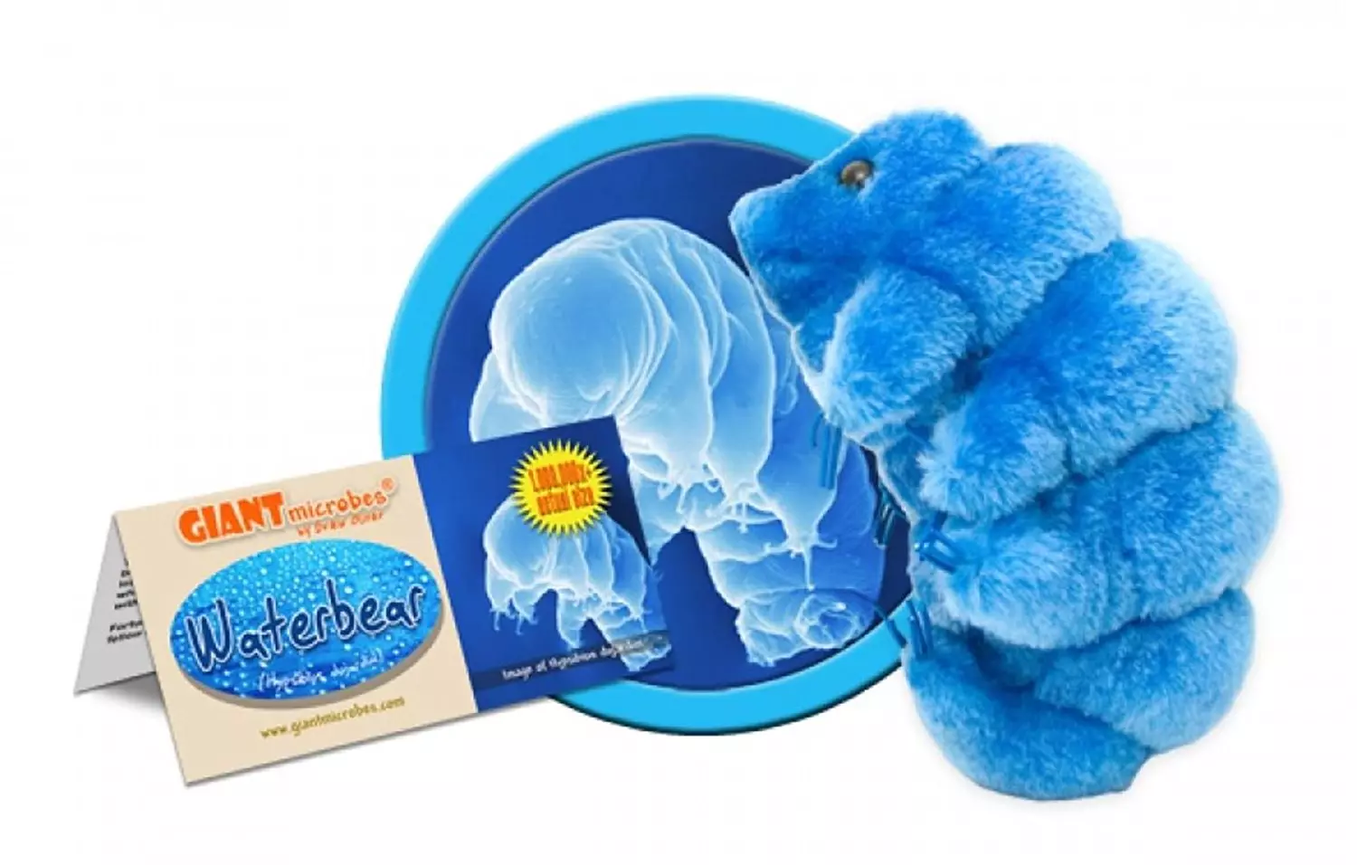 Cozy Bear: 6 Tardigrade Plush Toys paling apik kanggo Ilmu Nerds 11648_2