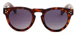 Tortoise Shell Sunglasses Wayfarer