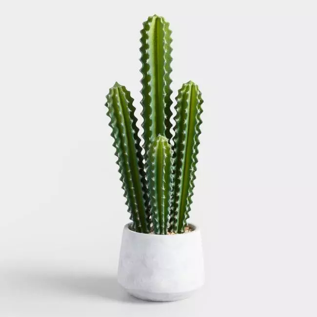 verdensmarkedet faux potted senita kaktus
