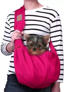 TOMKAS Dog Carrier fir kleng Hënn