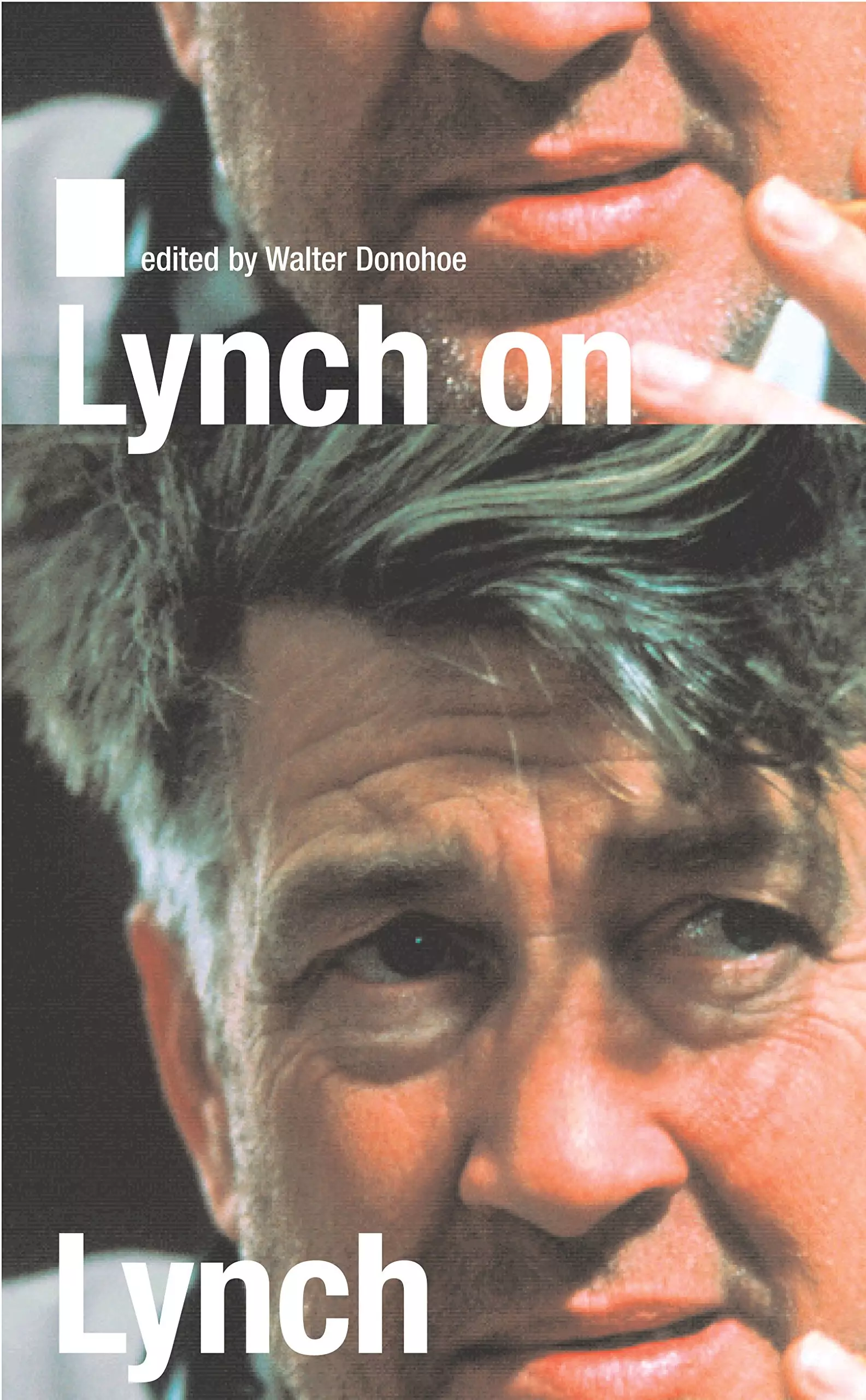 david lynch book