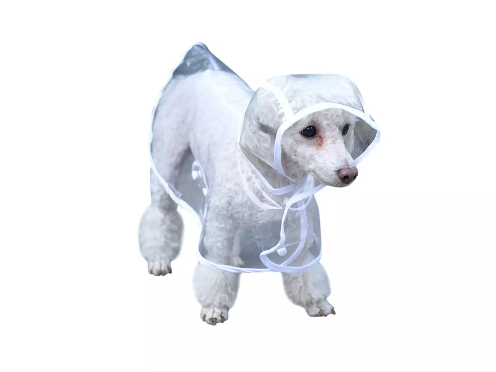 kabát do dažďa pre domáce zvieratá