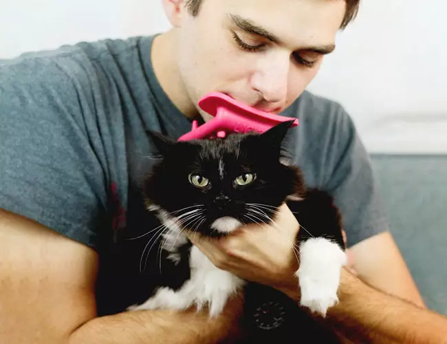 migliori spazzole per gatti