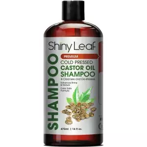 Castor Oil Shiny Leaf