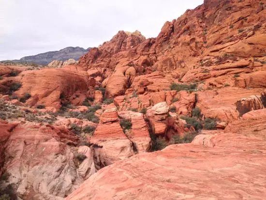 “Calico Tanks Trail”