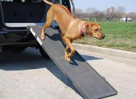 ramp car pet