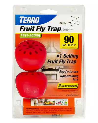 trampa-moscas da froita