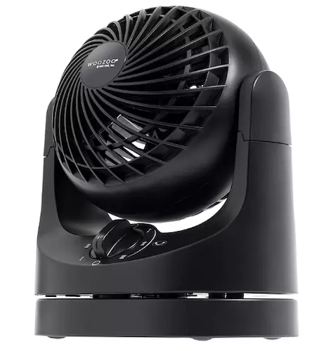 IRIS USA WOOZOO Oscillating Fan