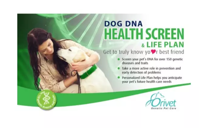 ujian DNA anjing