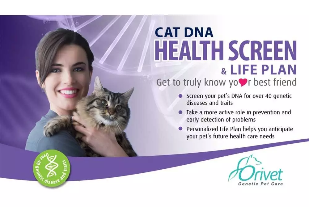 migliori test del DNA del gatto