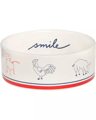 ED Ellen DeGeneres Smile Ceramic Dog Bowl