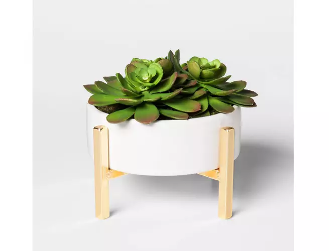 Nhắm mục tiêu chất mọng nhân tạo trong Planter