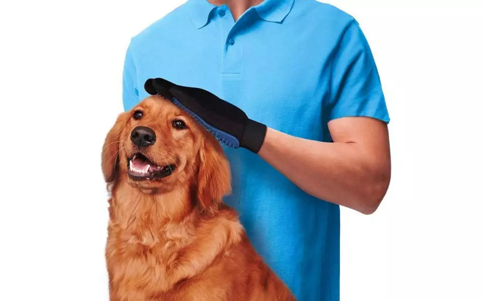 ръкавица за домашен любимец най-доброто куче котешка коса