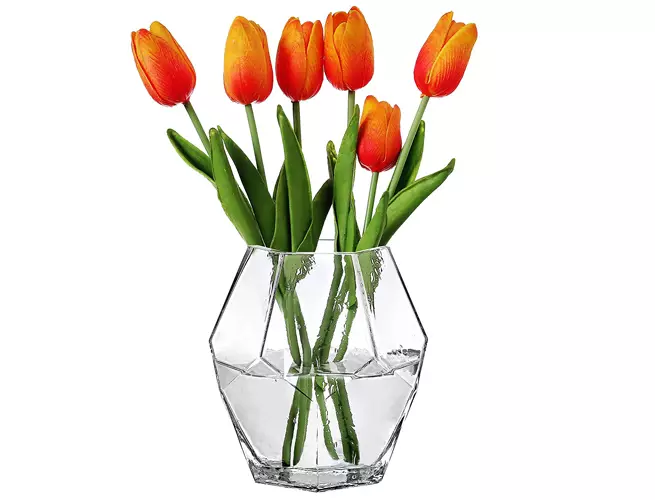 sechseckegen Glas Vase