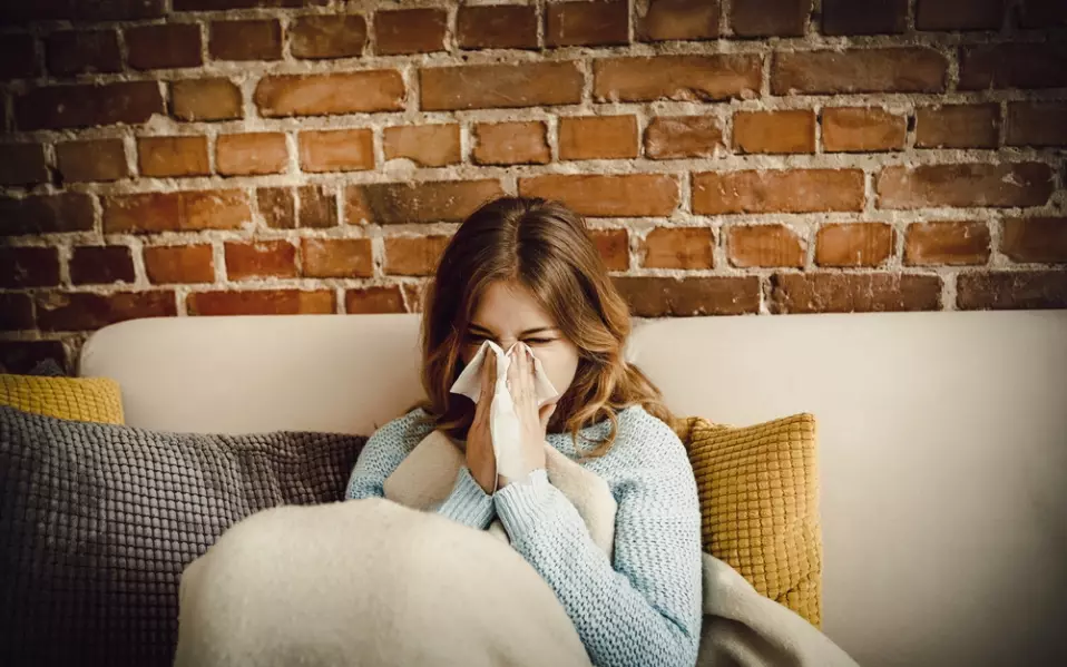 اپنے گھر میں الرجی کا ثبوت کیسے دیں۔