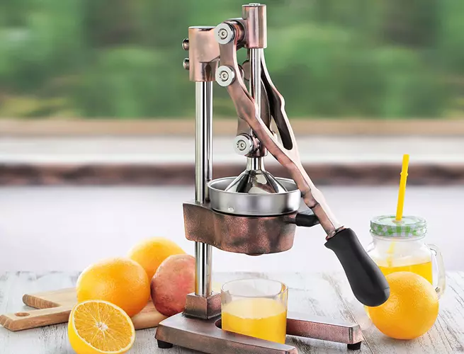 citrus juicer New Star Foodservice Commercial