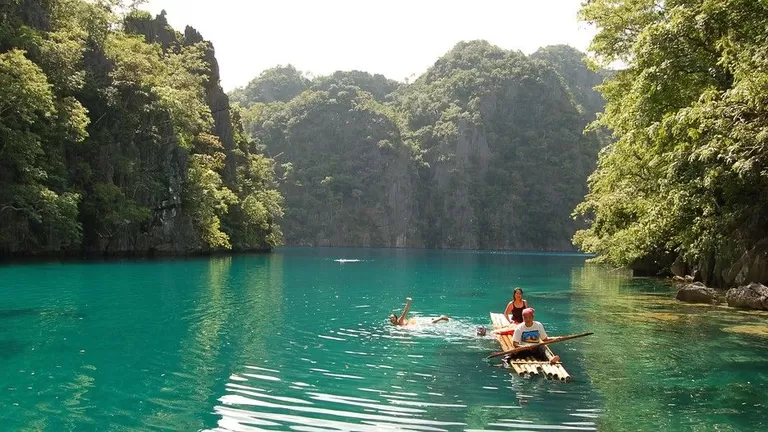 ndege bora zaidi za Palawan