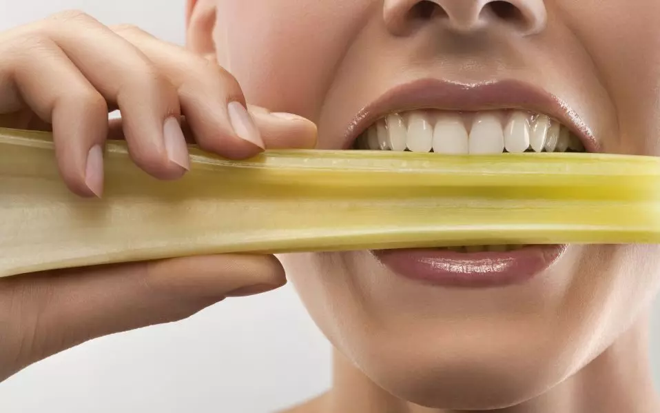 Die 5 besten veganen Lippenbalsame