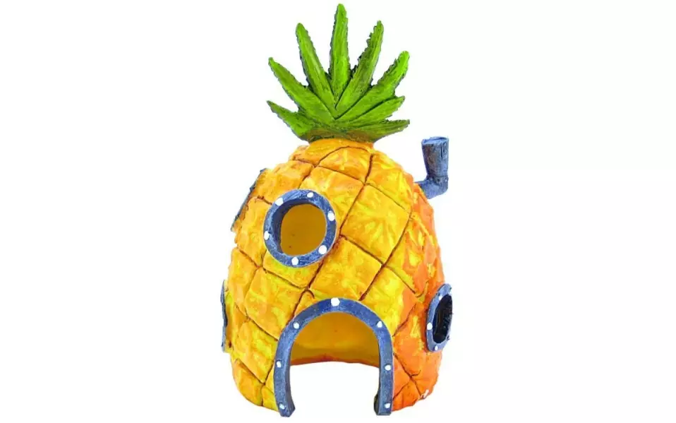 SpongeBob squarepants dar tal-ħut tal-ananas