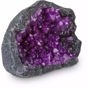 Purple Geode Petco