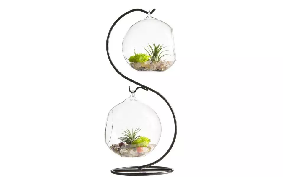 şüşə terrarium Mkono