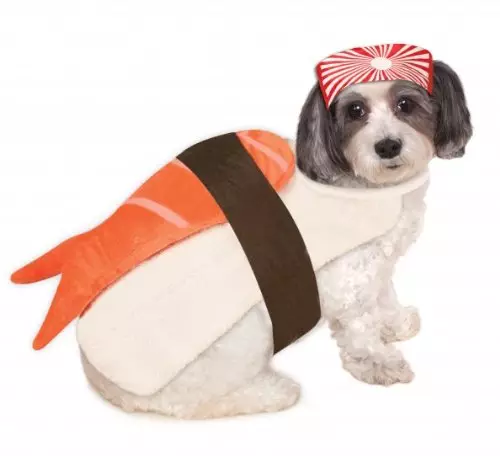 Sushi Pet éadaí Rubie ar