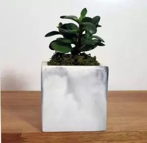 Feen and Neen Tilted Cement Planter