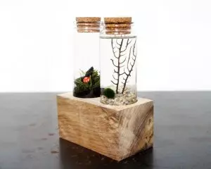 terrariwm2